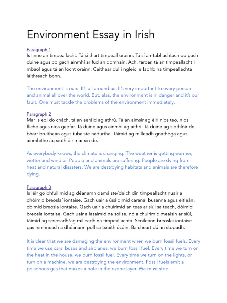 Environment Essay in Irish | PDF