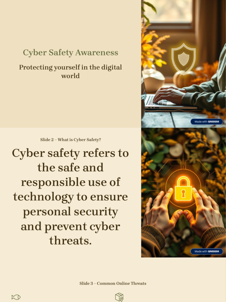 Cyber Safety Awareness | PDF