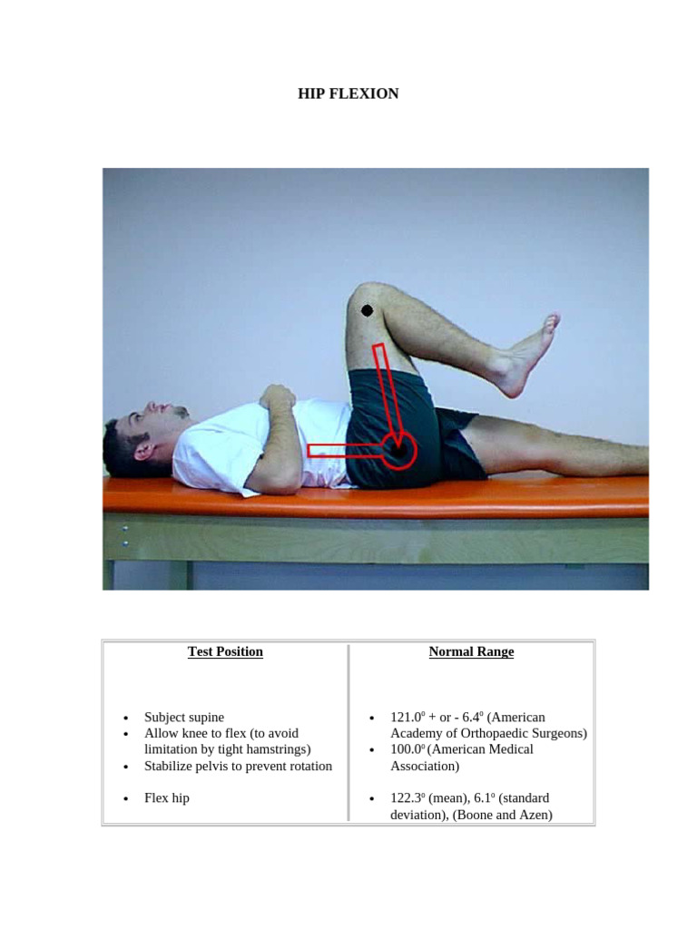 Hip Flexion | PDF