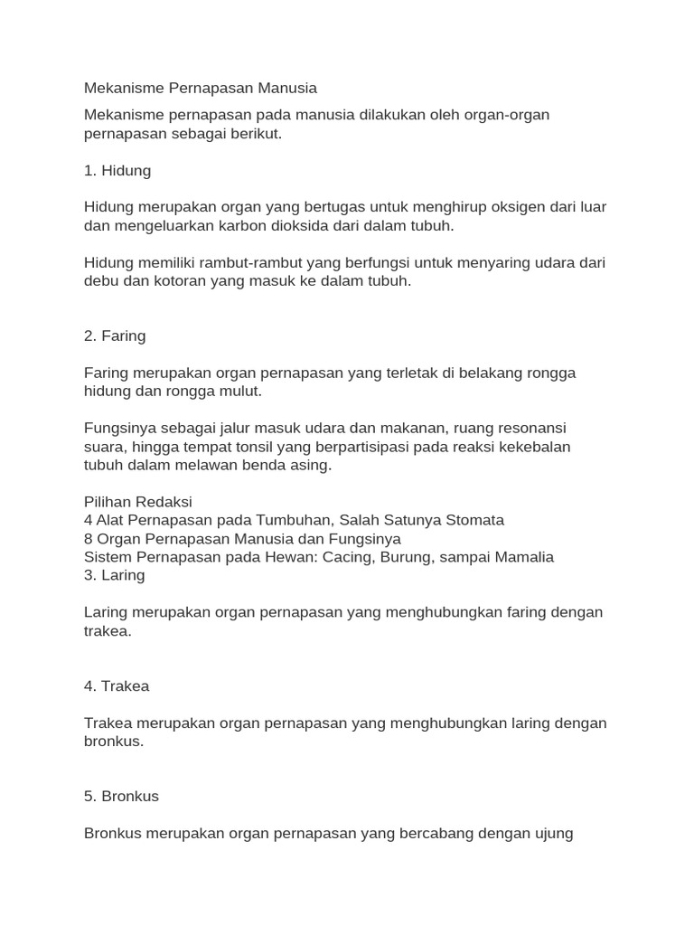 Mekanisme dan Organ Pernapasan Manusia | PDF