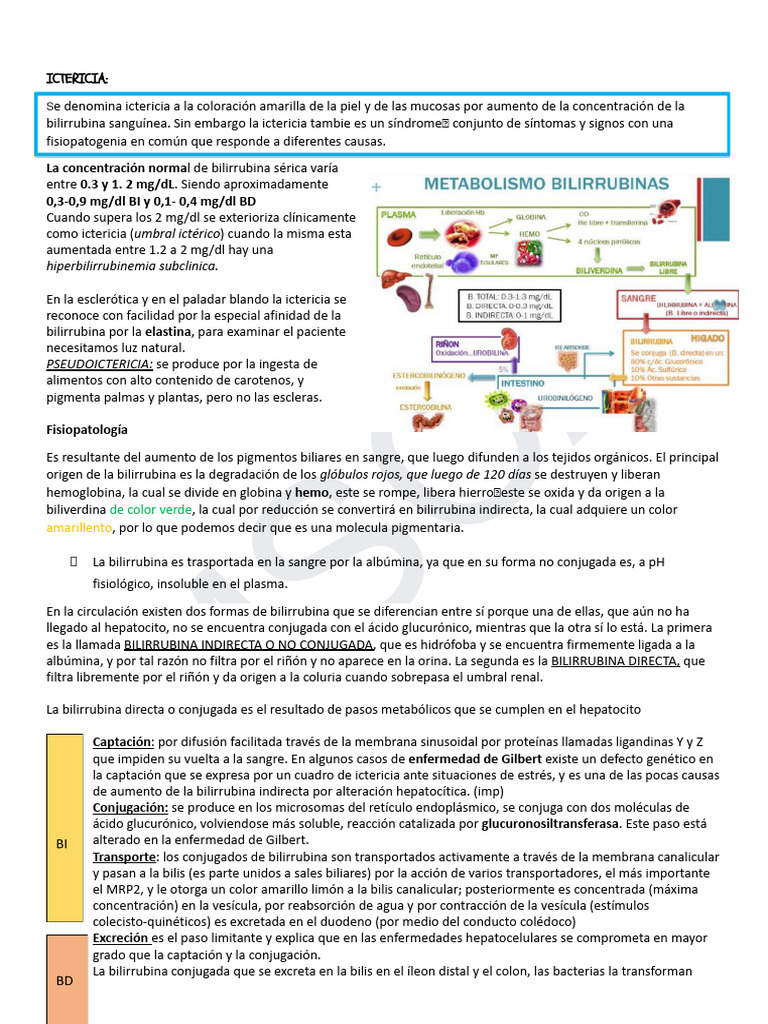 Ictericia: Causas y Fisiopatología | PDF | Hepatitis | Cirrosis