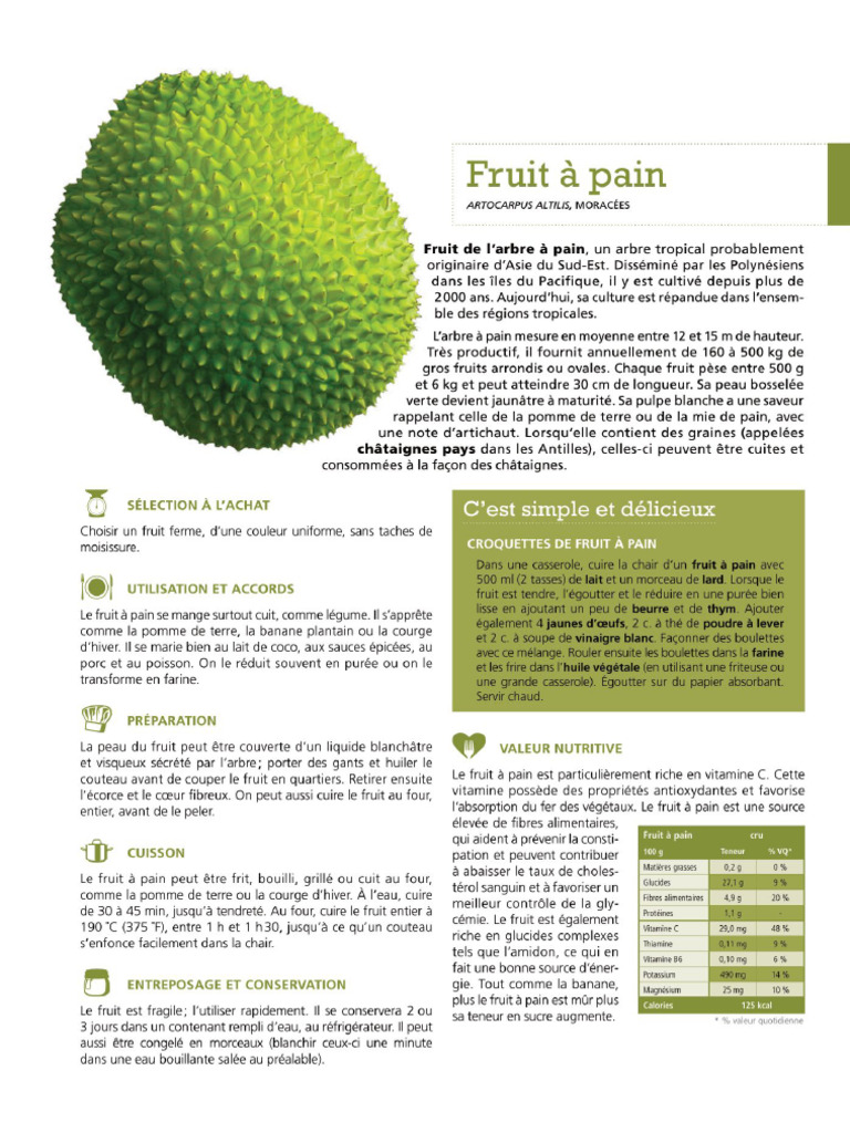 Fruit À Pain | PDF