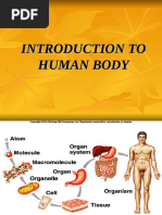 Anatomy and Physiology Unit 1 | PDF | Epithelium | Anatomical Terms Of Motion