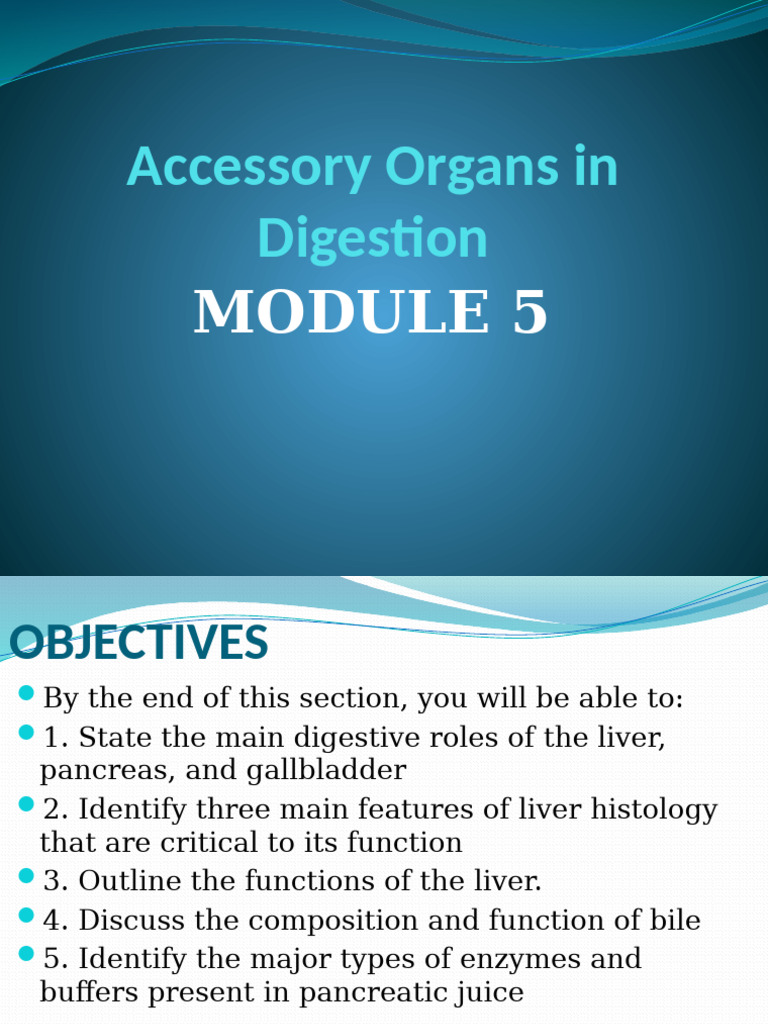 Accessory Organs in Digestion Module Five | PDF | Pancreas | Liver