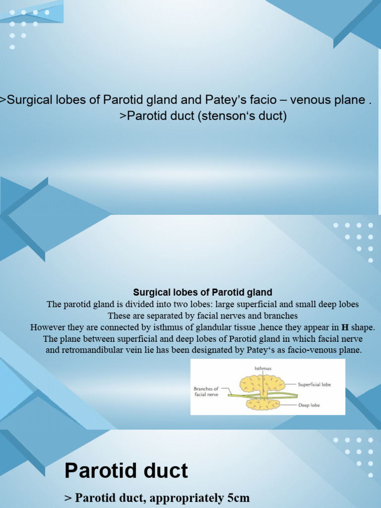 Parotid Duct Compressed | PDF