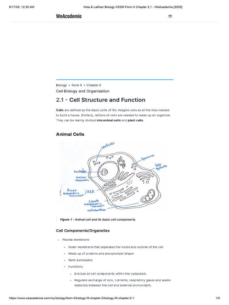 Plant vs Animal Cell Structures | PDF | Cell (Biology) | Cell Membrane