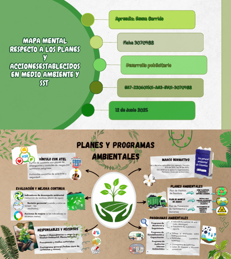Planes Ambientales y SST: Mapa Mental | PDF | Residuos | Entorno natural