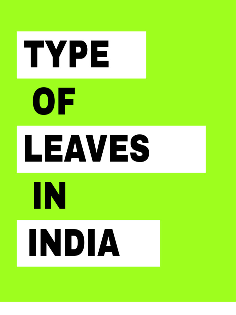 Types of Leave in India Explained | PDF | Parental Leave | Sick Leave