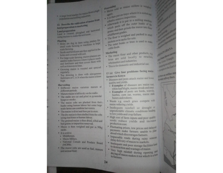 Graphology | PDF