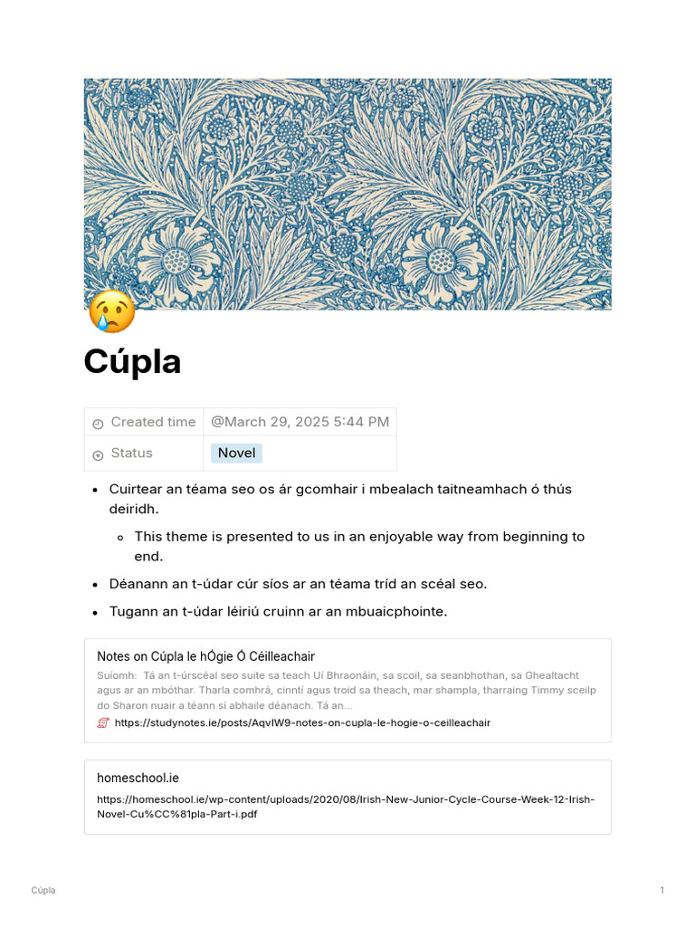 Cúpla: Themes and Character Analysis | PDF
