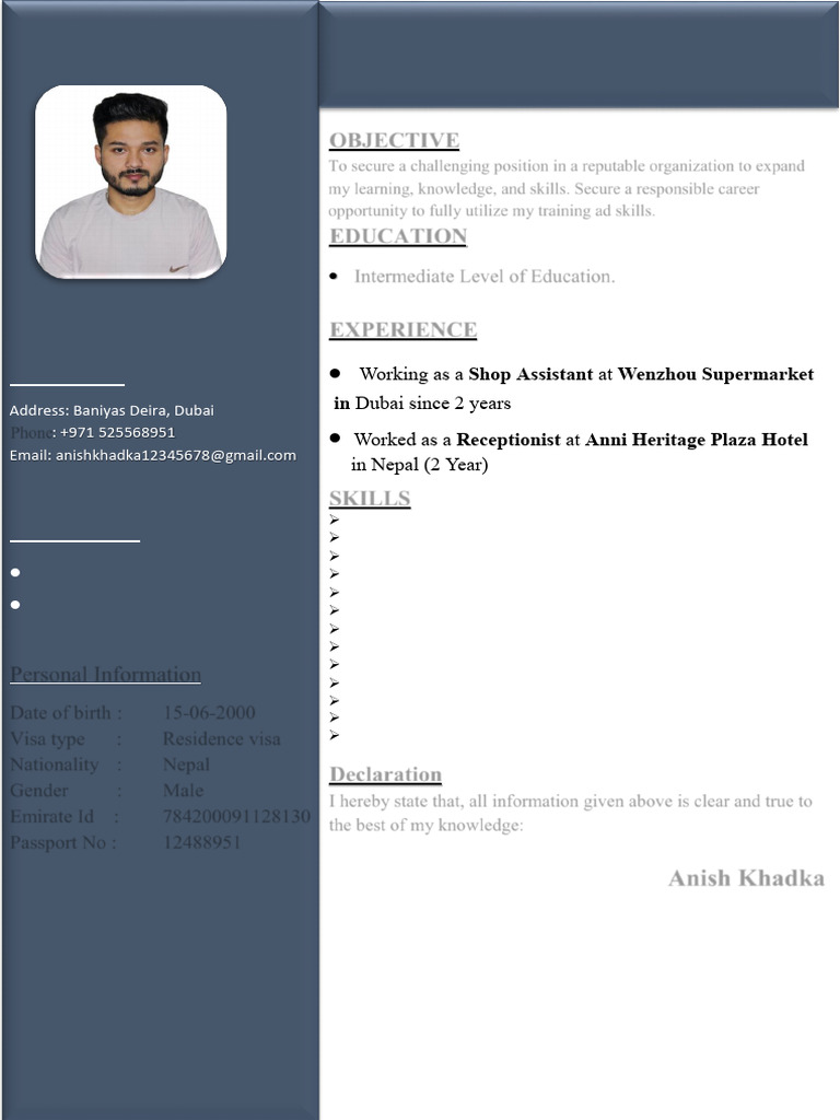 Professional CV ANISH-1 | PDF