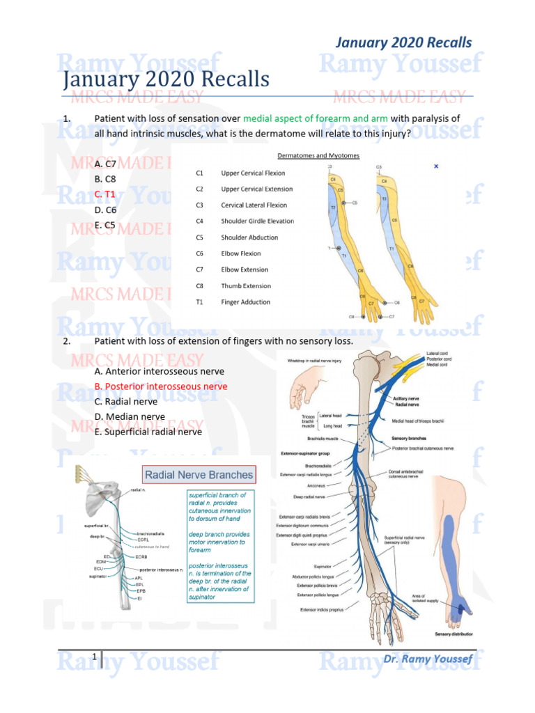 January 2020 Medical Recall Questions | PDF | Thumb | Human Leg