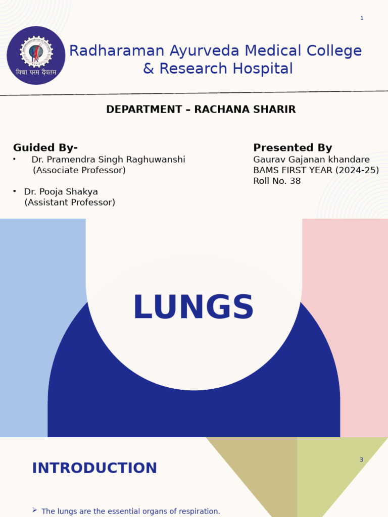 Lungs | PDF | Lung | Respiratory System
