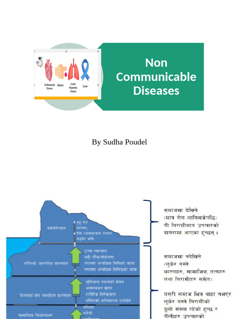 Non Communicable Disease (NCD) | PDF | Non Communicable Disease ...