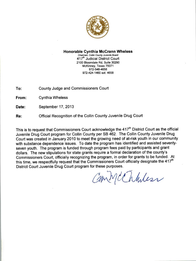 37431_417th Juv Drug Ct Memo | PDF