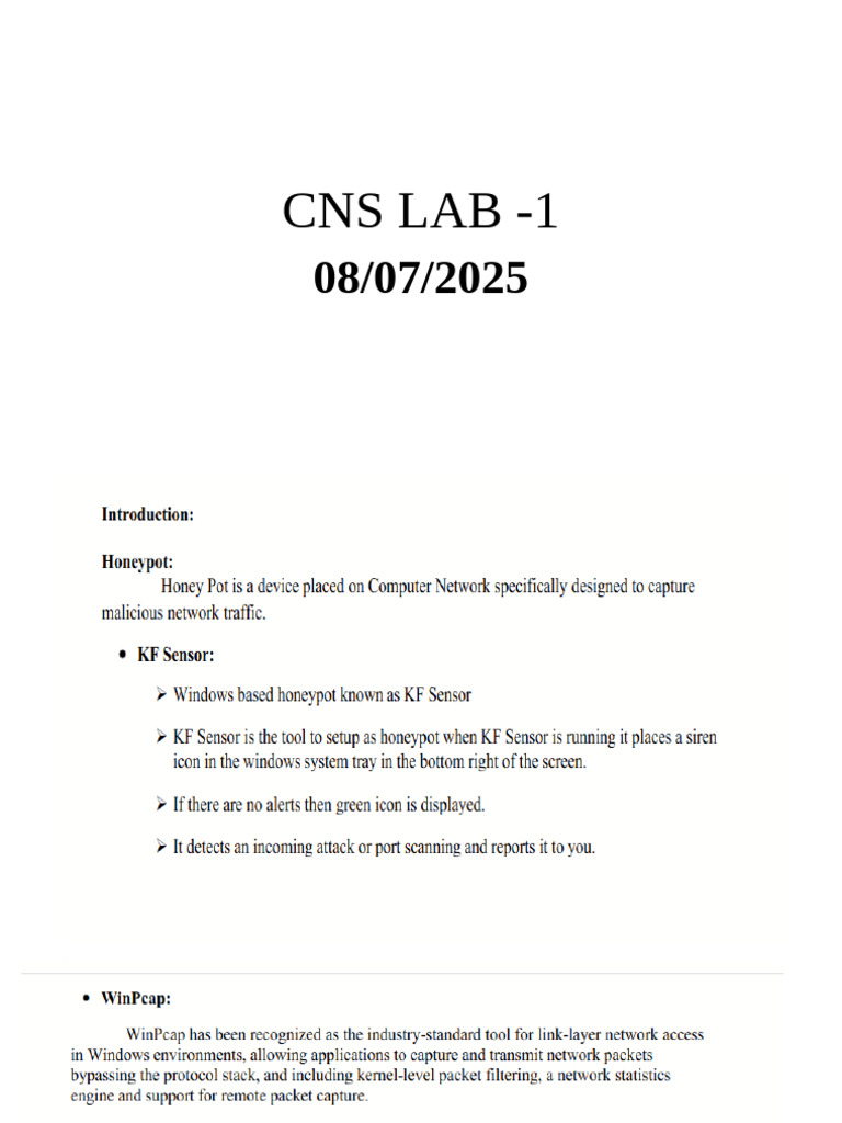 Cns Lab 1 Pdf