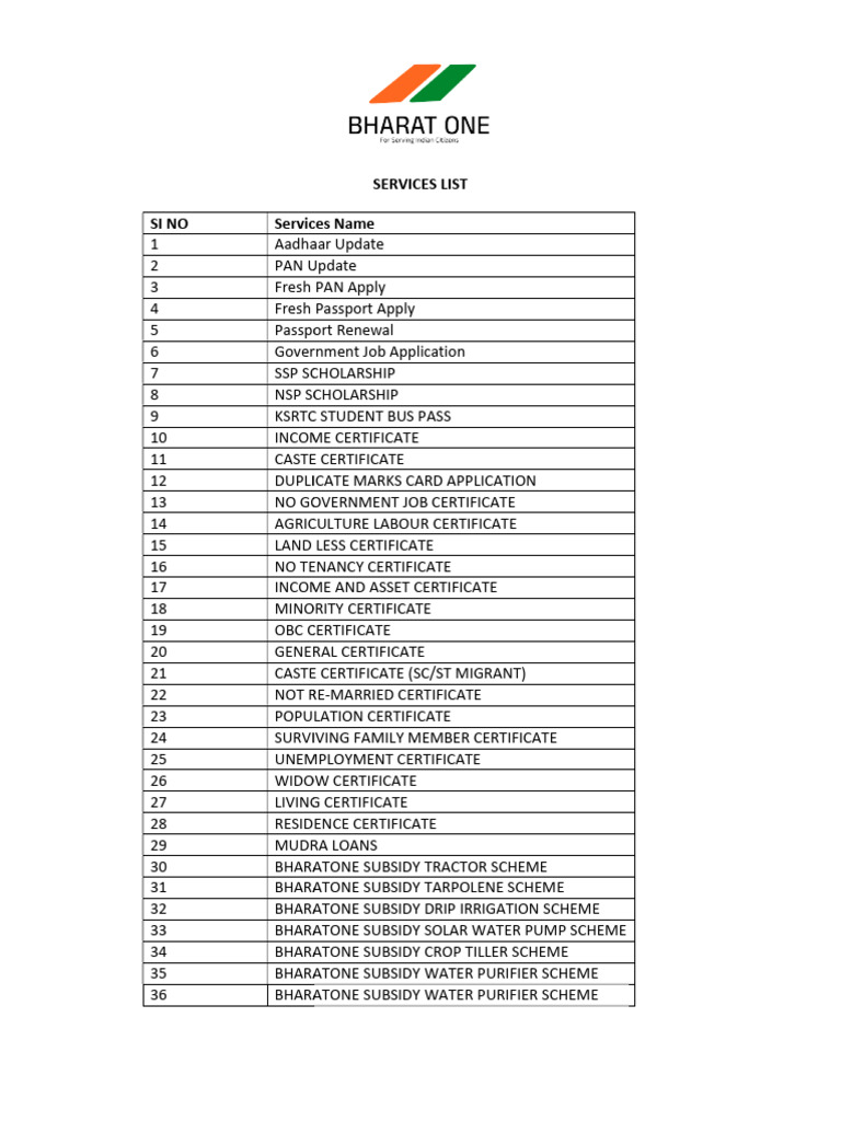 Comprehensive Government Services List | PDF