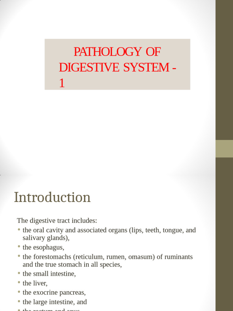 Pathology of Digestive Sysytem | PDF | Gastrointestinal Tract | Stomach