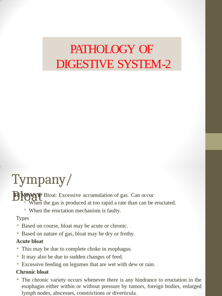 Pathology of Digestive Sysytem | PDF | Stomach