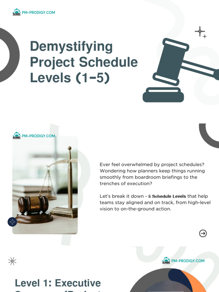 Project Schedule Levels 1 5 1754763524 | PDF
