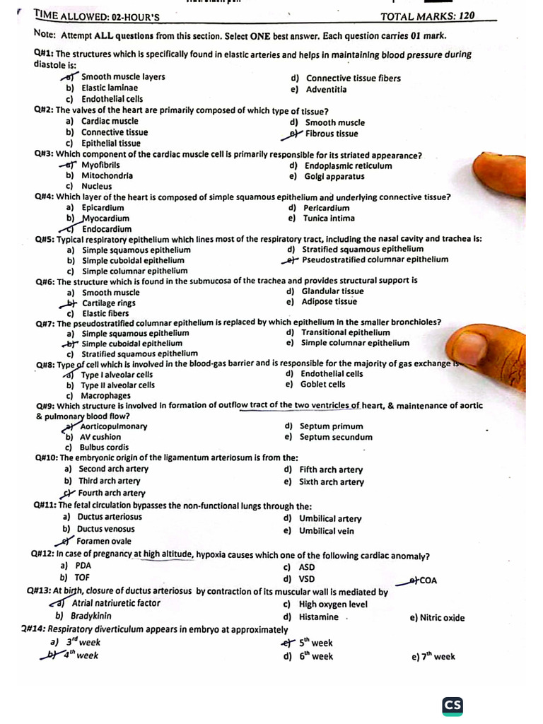 GMC Block C 2024 (Batch - 29) | PDF