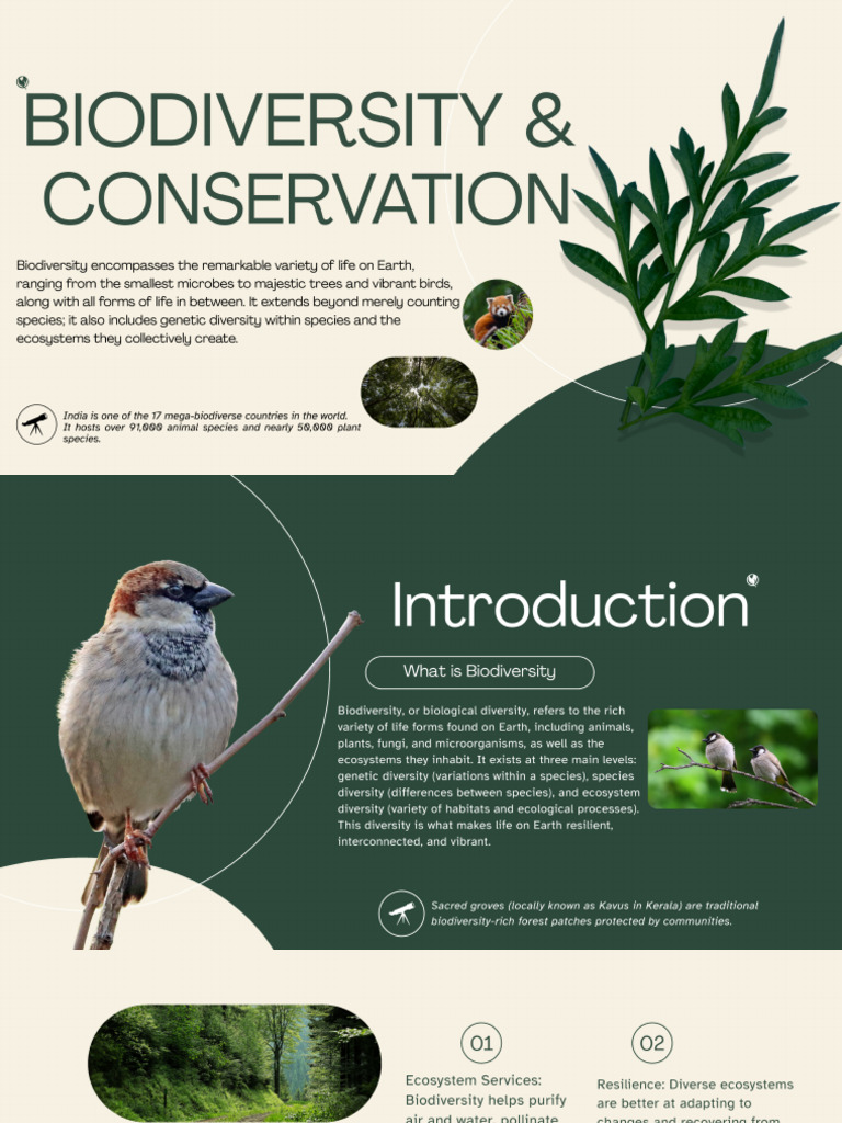 Biodiversity | PDF
