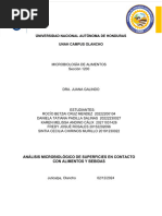 8 - RM - 461 - 2007 - Superficies Peruana | PDF | Alimentos