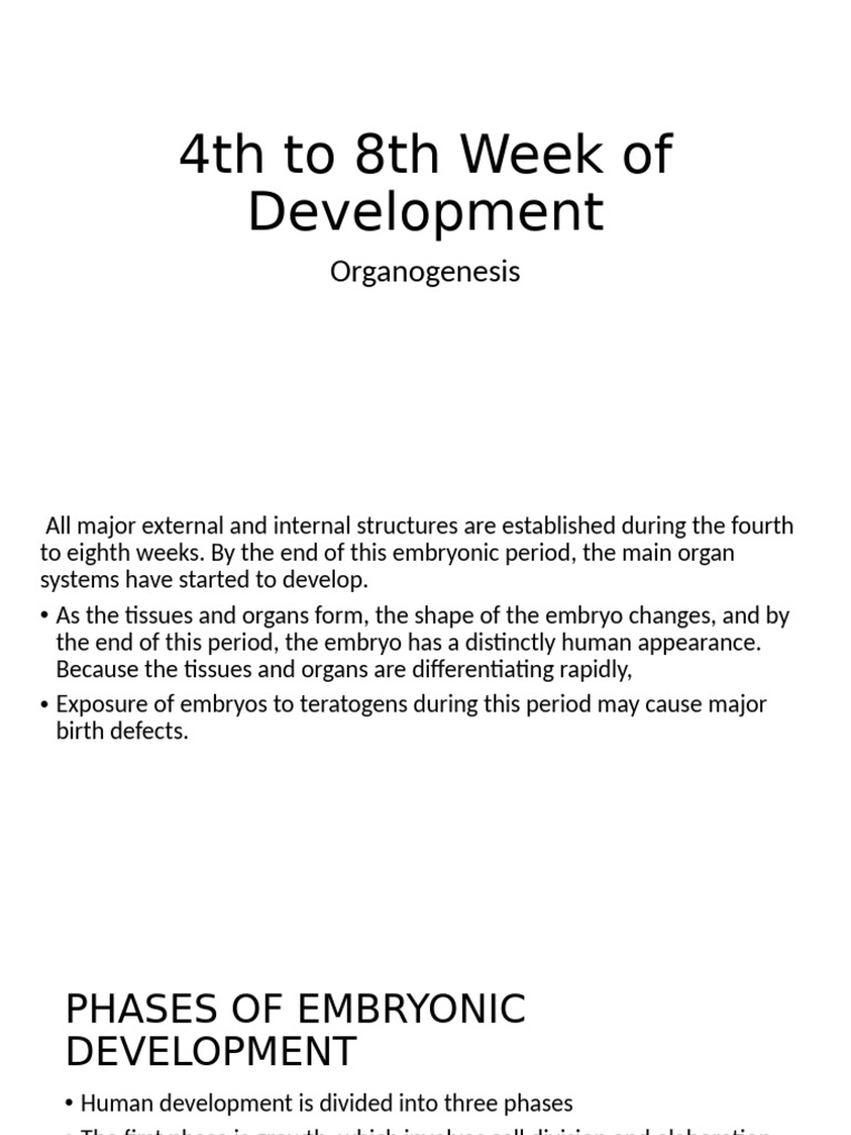 Embryonic Development: Weeks 4-8 Overview | PDF | Anatomy | Morphology ...