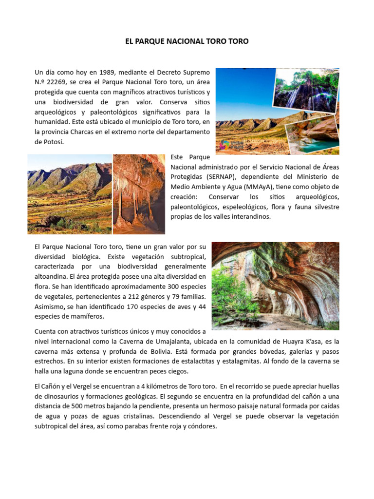 El Parque Nacional Toro Toro | PDF | Puma