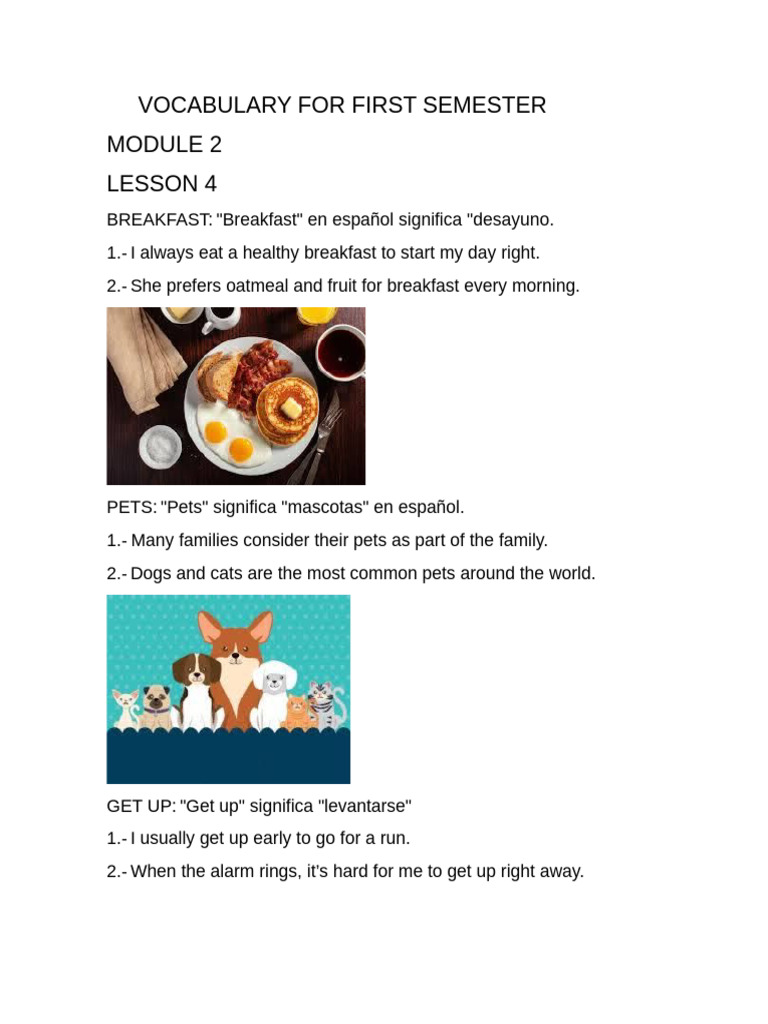 Vocabulary for First Semester Second Partial | PDF | Doughnut | Cakes