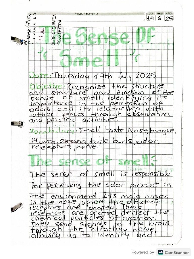 The Sense of Smell y Otros | PDF