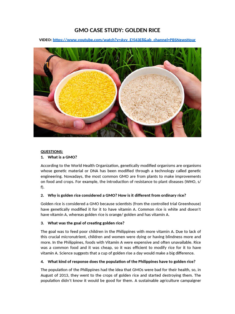 Golden Rice GMO Case Study Overview | PDF | Genetically Modified ...