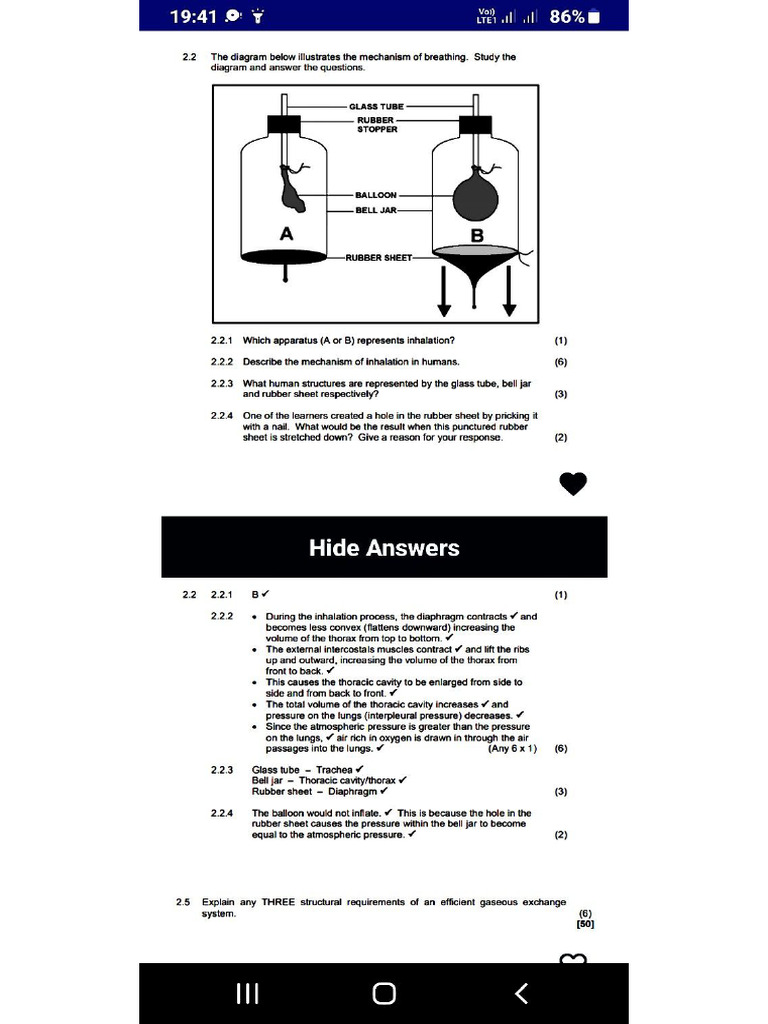 PDFReader_20250810_0217 | PDF