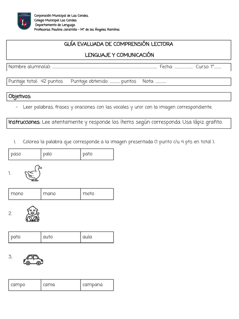 Guía Evaluada de Comprensión | PDF