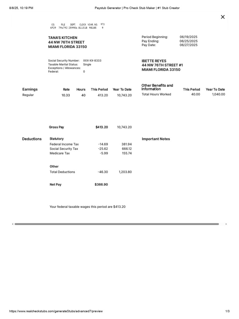 Paystub Generator - Pro Check Stub Maker - #06 Stub Creator | PDF ...