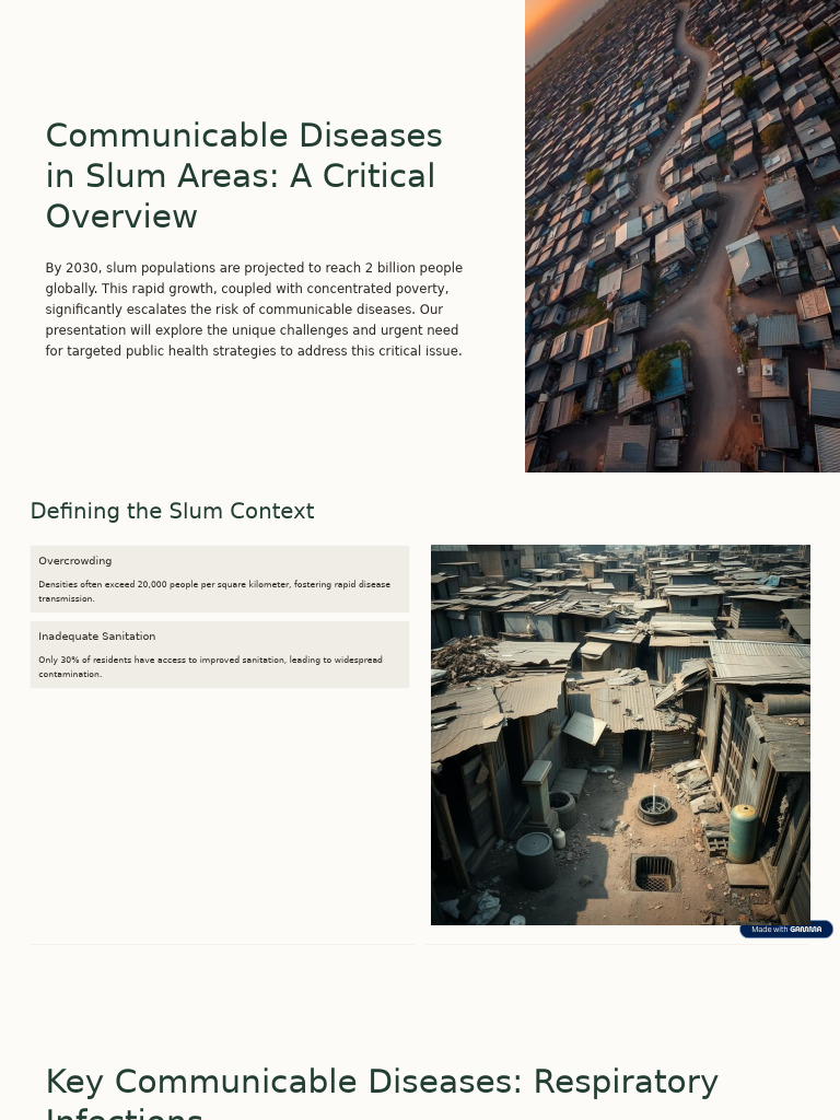 Slum-Bred Diseases: Urgent Health Strategies | PDF | Slum | Preventive ...