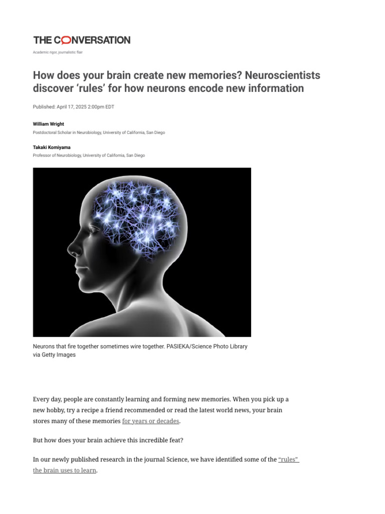Brain Create New Memories? Neuroscientists Discover Rules' For How ...