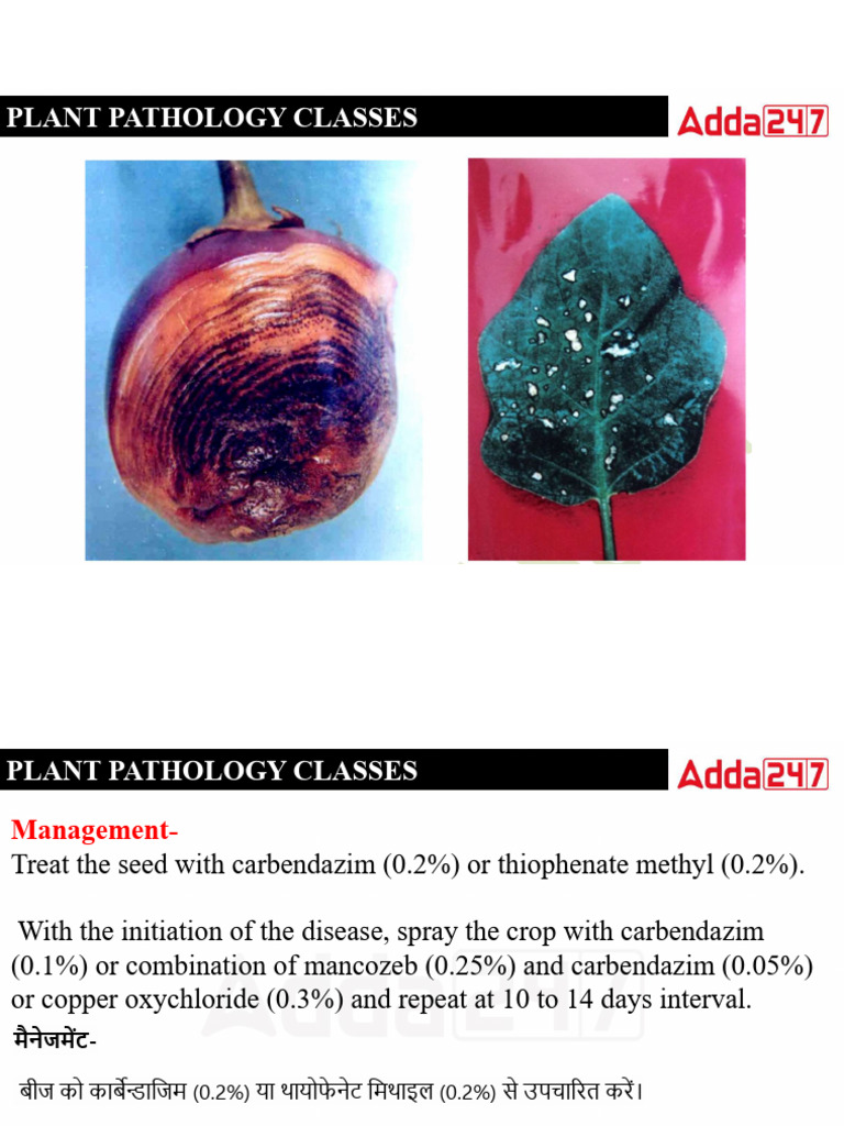 Plant Pathology Classes | PDF