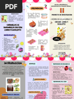 Beneficios y usos de Simi Lyptus | PDF