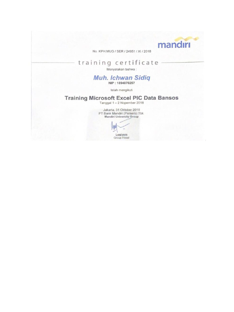 Training Excell | PDF