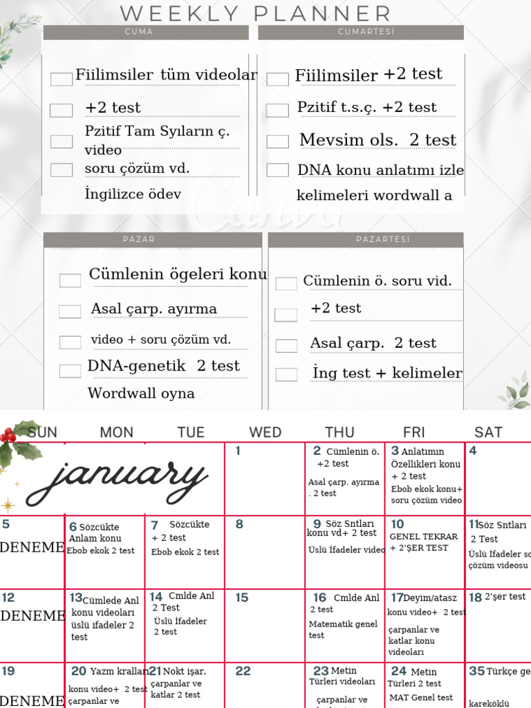 Minimalist Printable 2025 Monthly Planner US Letter Document | PDF