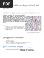 Interpreting IDEXX ProCyte Dx Dot Plots | PDF | White Blood Cell ...