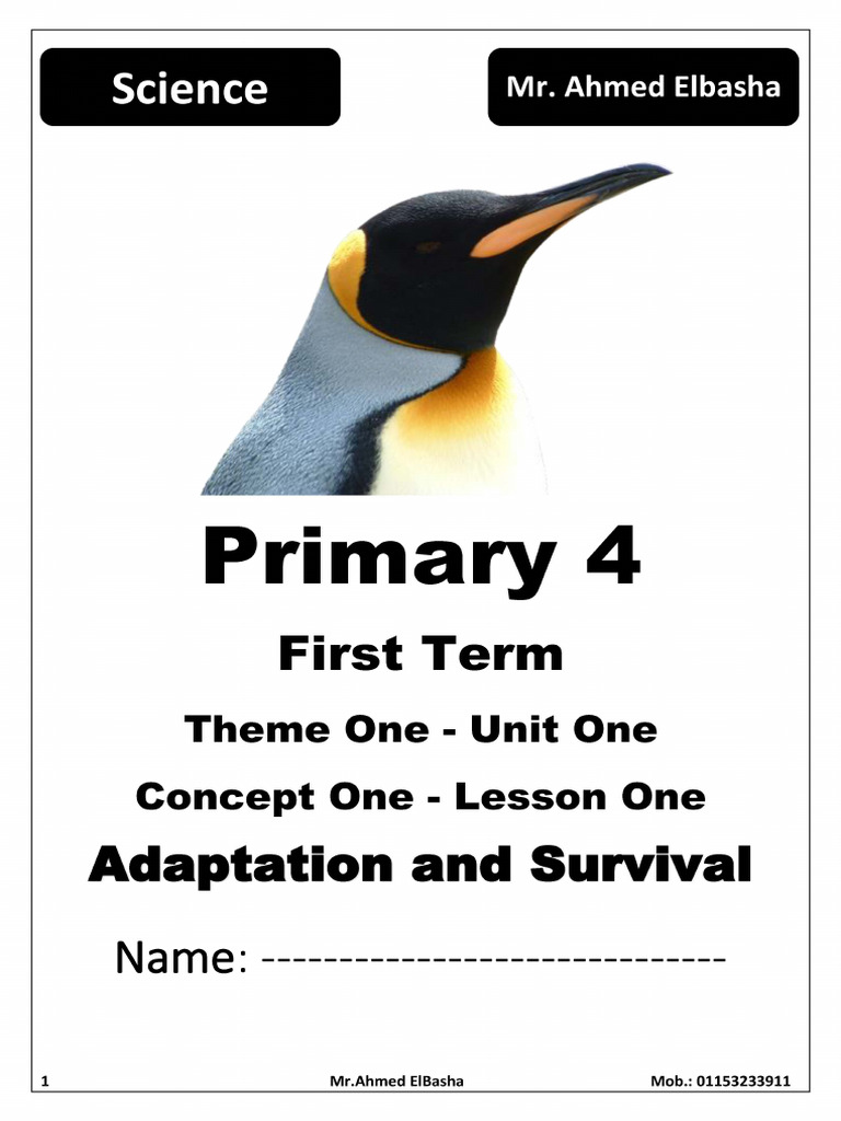 Grade 4 - Theme 1 - Unit 1 - Concept 1 Lesson 1 2024 | PDF