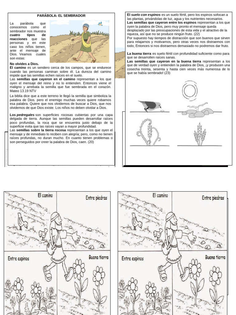 01-07-22 Sesión y Ficha Parábola Del Sembrador | PDF | Semilla | Suelo