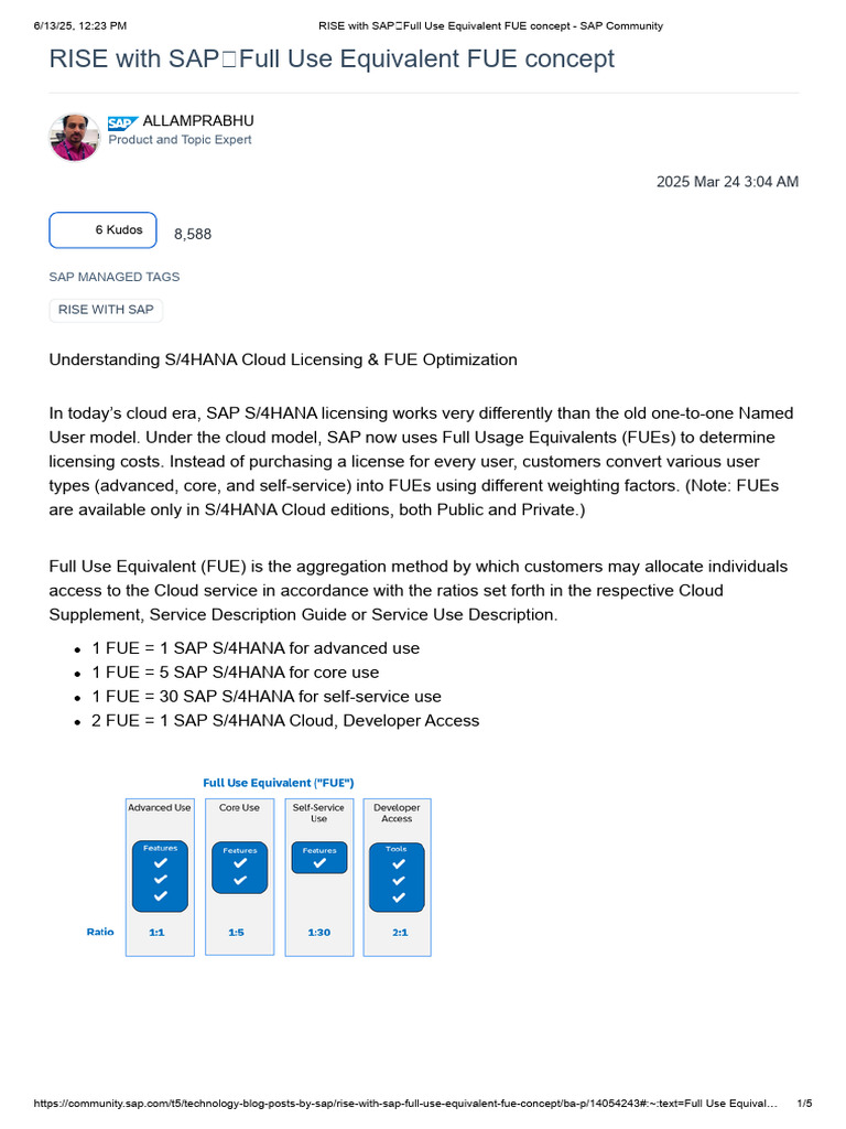 Understanding SAP FUE Licensing Model | PDF | Cloud Computing | Computing