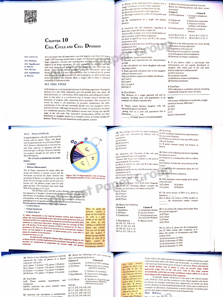 CELL CYCLE AND CELL DIVISION (Ncert Line by Line Masterbook) | PDF