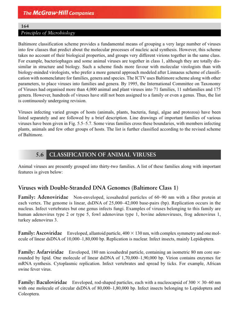 Classification of Animal Viruses | PDF | Virus | Retrovirus