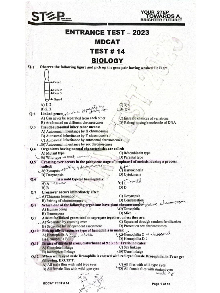 Step 2023 Test 14 - Key | PDF