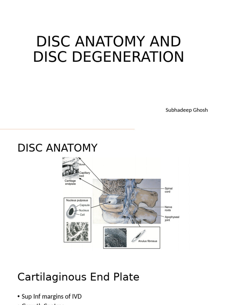 Disc Anatomy and Degeneration1 | PDF | Cartilage | Extracellular Matrix