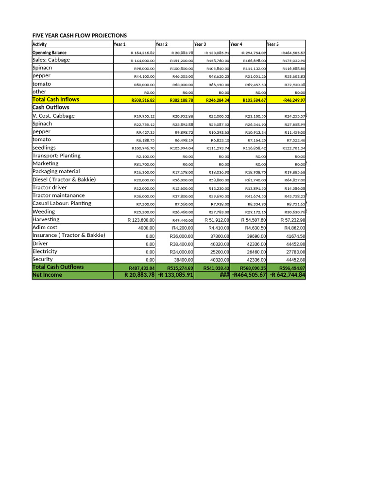 Five-Year Cash Flow Projection Analysis | PDF